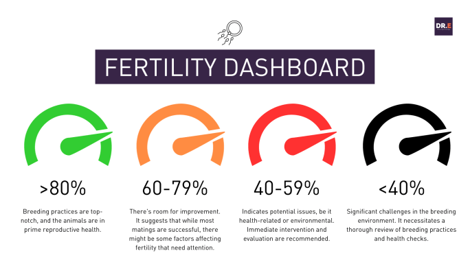 Unlocking Reproductive Success: The Essential Dashboard for Every Modern Dog & Cat Breeder – DR ...