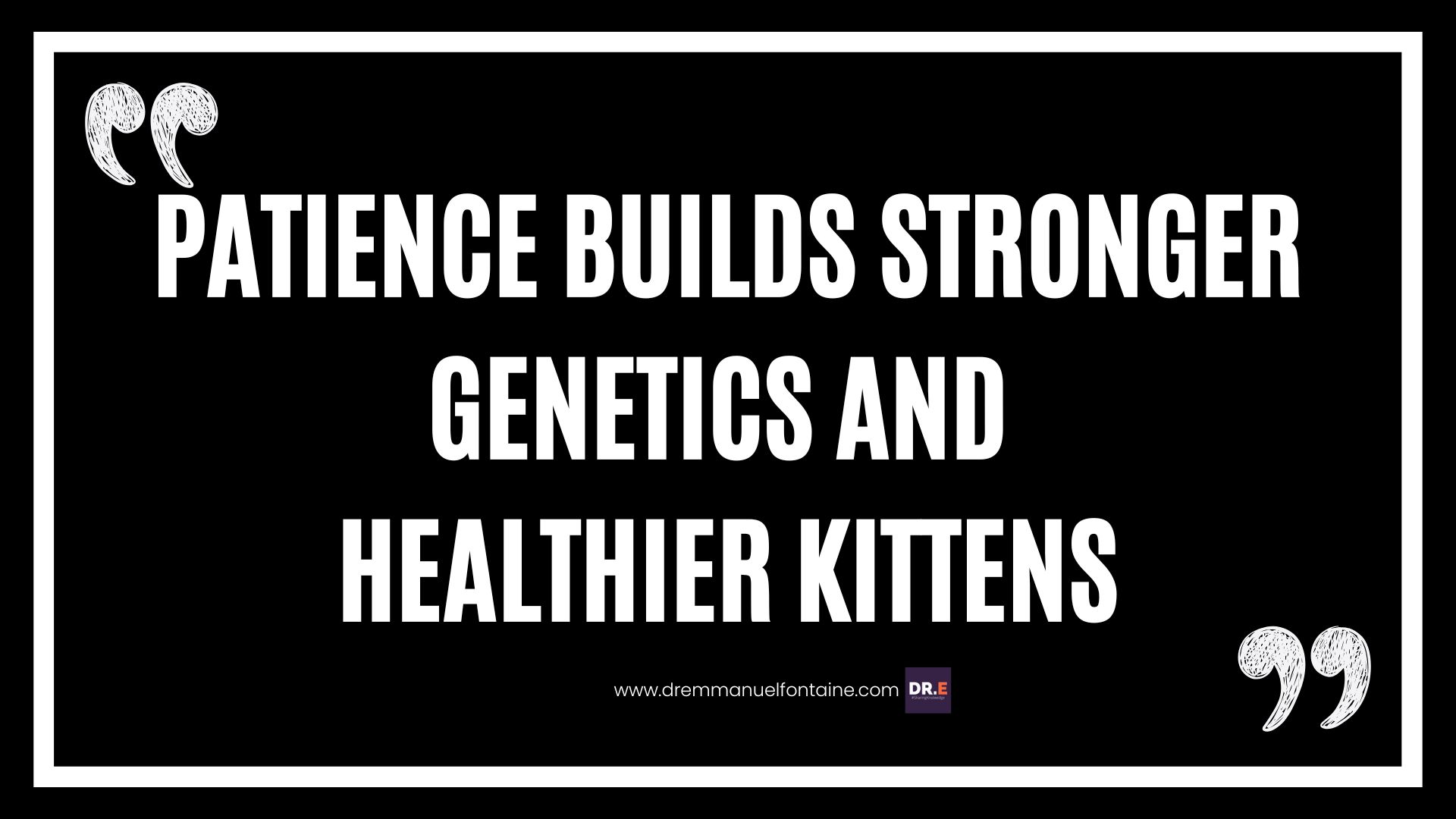 When Can a Male Cat Start Breeding? A Vet’s Guide to Feline ...