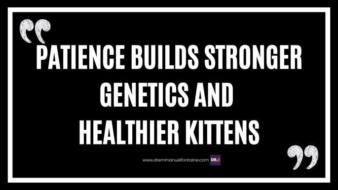 When Can a Male Cat Start Breeding? A Vet’s Guide to Feline ...